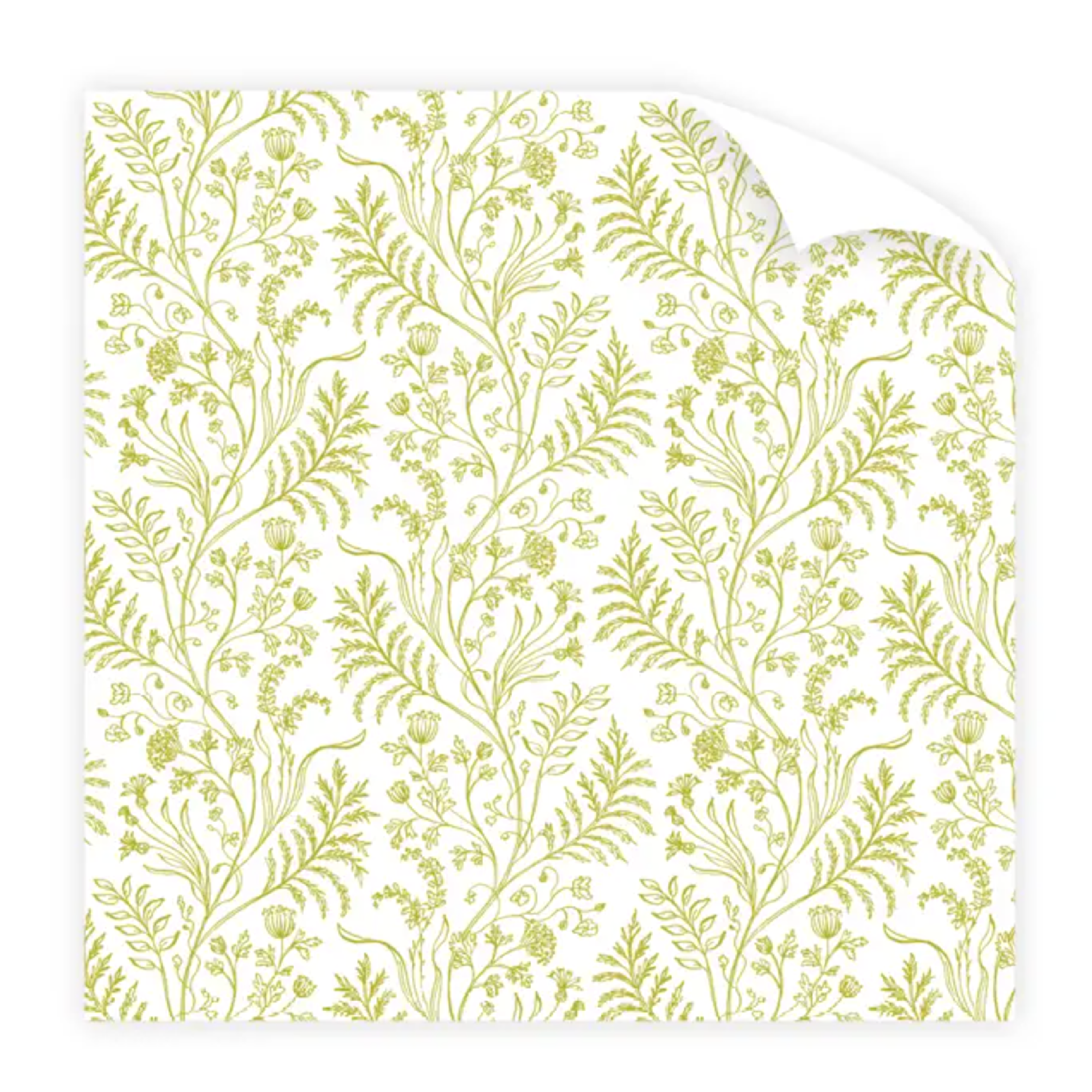 Fern Chartreuse Wrapping Paper – The Queen Bee